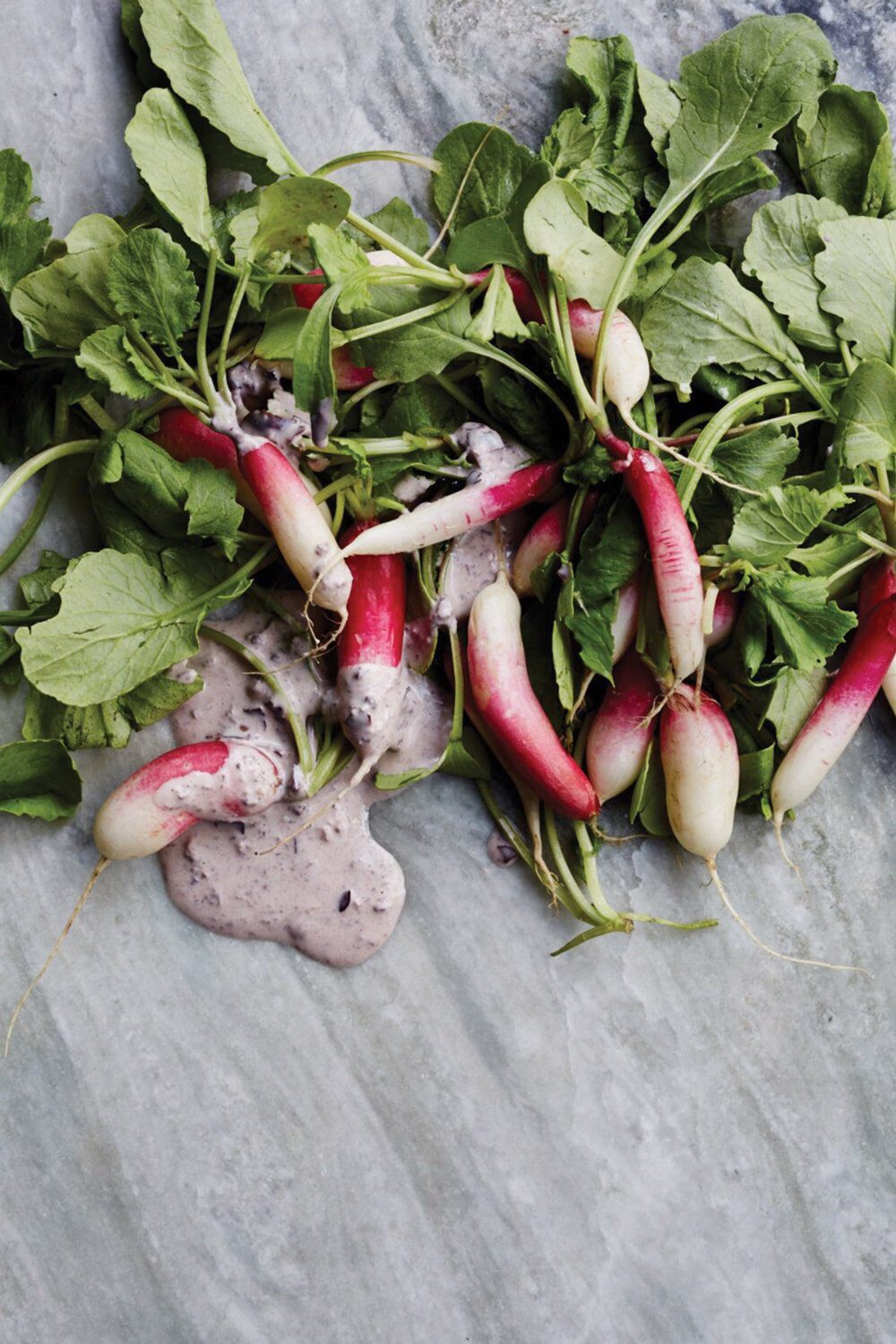 Book Review: Gjelina - Cool Food Dude